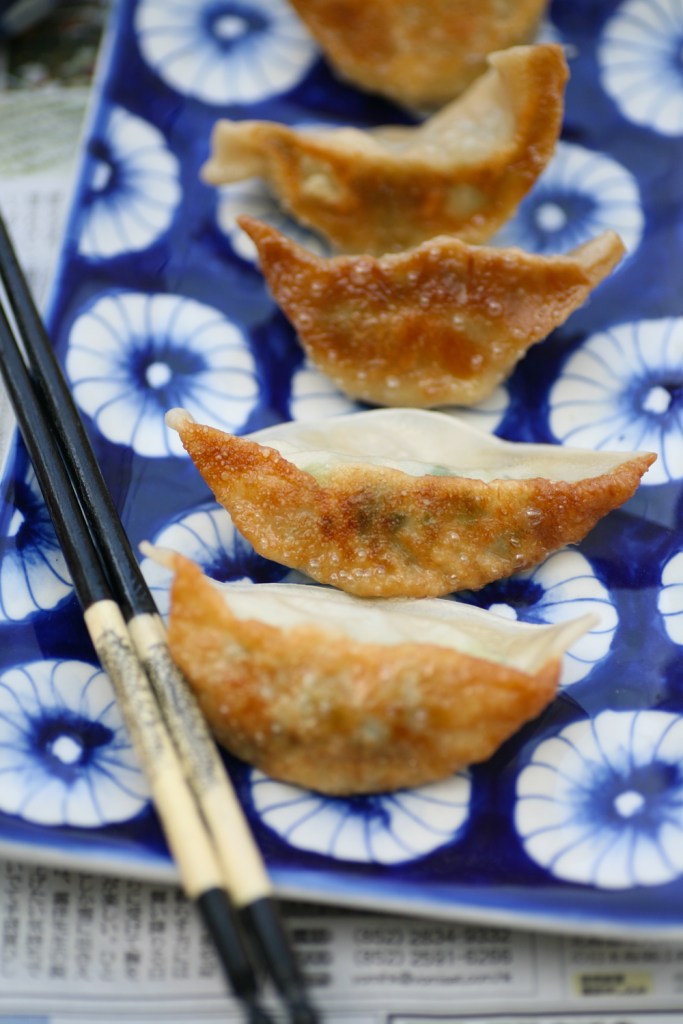 Chicken, Ginger and Spring Onion Gyoza/Jiaozi/Pop Sticker | CHILLI & MINT