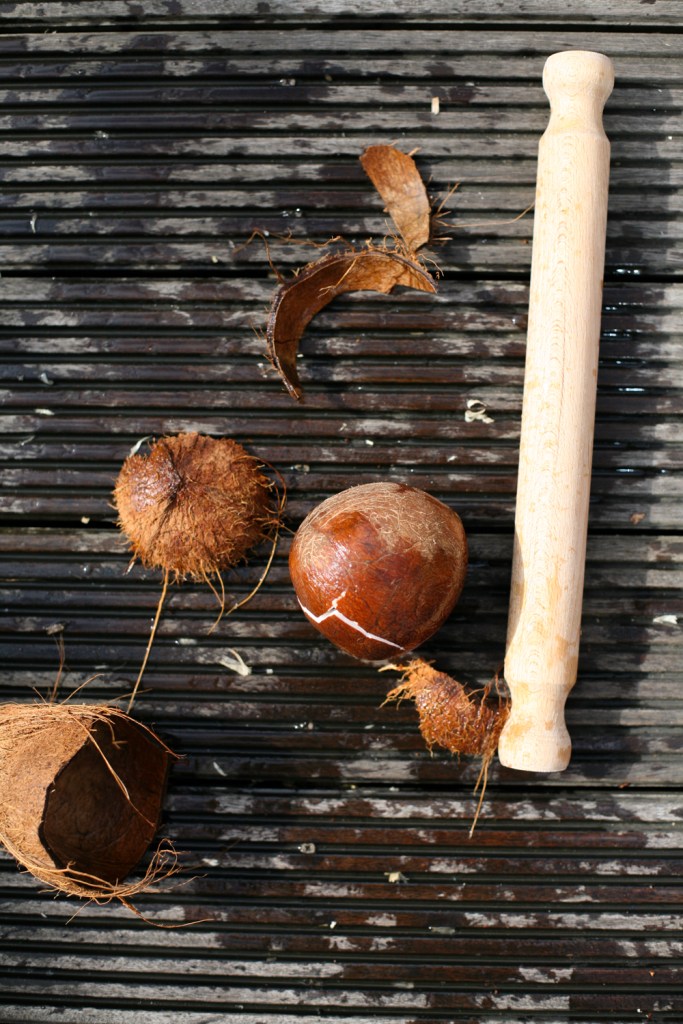Coconut Chutney (and a top tip at removing a coconut shell) | CHILLI & MINT