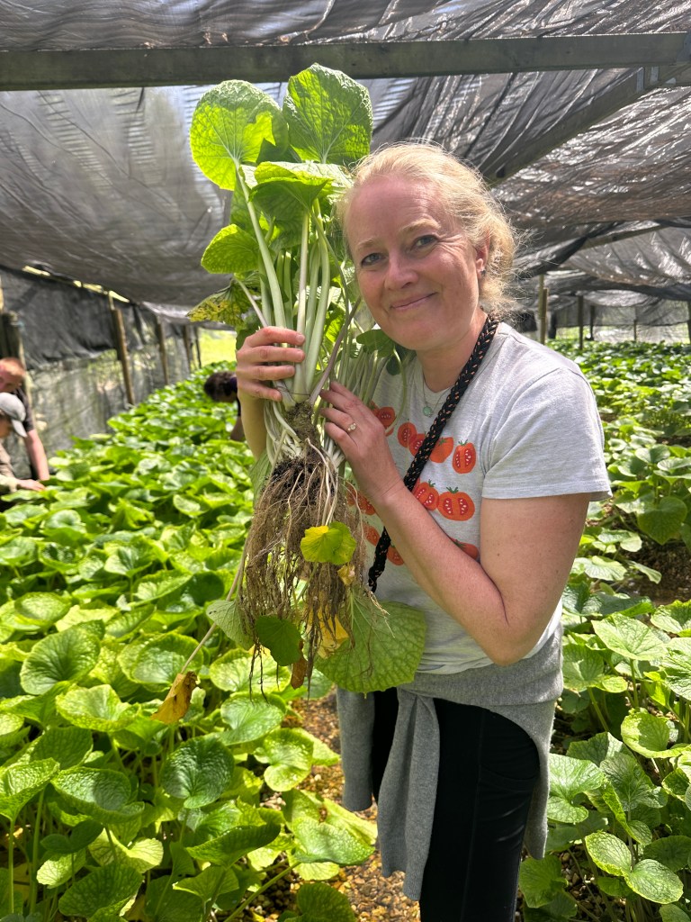 CHILLI & MINT | Torie True's cooking with herbs and spices and a ...